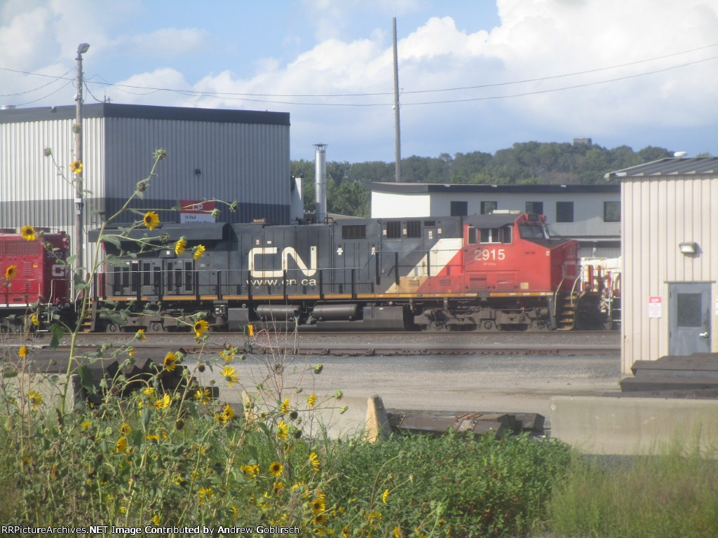CN 2915